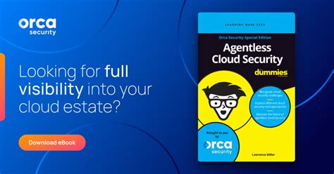 Orca Security On Linkedin Agentless Cloud Security For Dummies