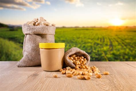 Groundnut Farming And Processing Business Plan