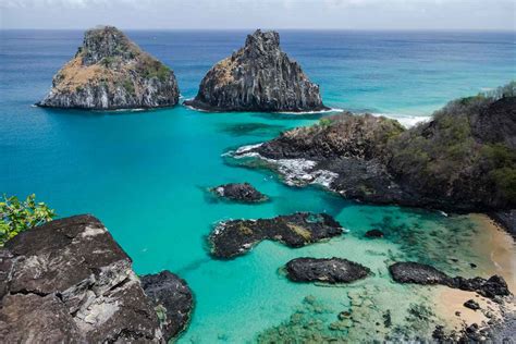 These Are The Best Places To See Wildlife In Brazil