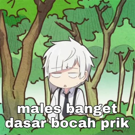 Bsd Meme Cartoon Jokes Memes Meme Faces