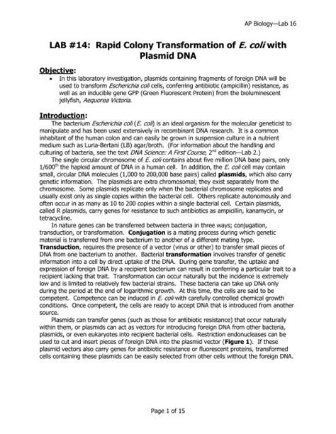 Lab 14 Bacterial Transformation