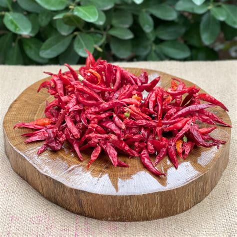 Aci Atom Bİber BaĞ Haşimiyzade