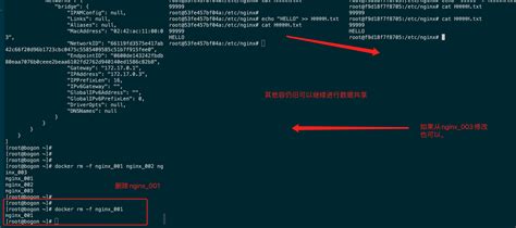 docker容器数据卷 rancher挂载数据卷 csdn博客