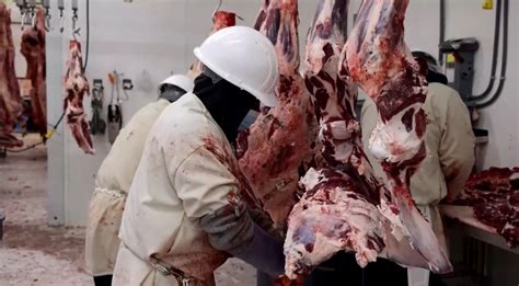 Usda Announces New Round Of Funds To Expand Meat Processing Northern Ag Network