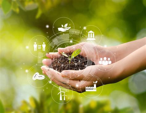 Green Finance And Decarbonisation Meed