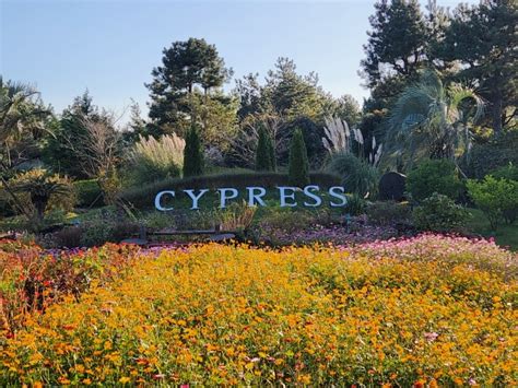 ‘신들의 정원 사이프러스 골프and리조트 국내 최고 토너먼트 코스로 자리매김