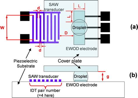 Integrated Microfluidics System Using Surface Acoustic Wave And Electrowetting On Dielectrics