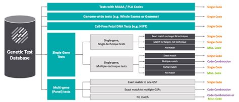 Overcoming The Challenges Of Genetic Test Identification For Billing And Reimbursement Concert