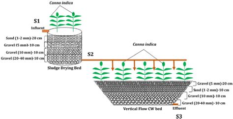 Schematic Diagram Of Constructed Wetland System For Treatment Of