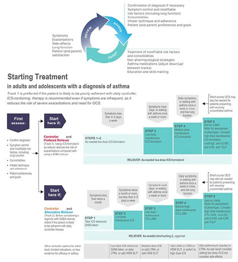 Contemporary Challenges In The Management Of Asthma And Chronic