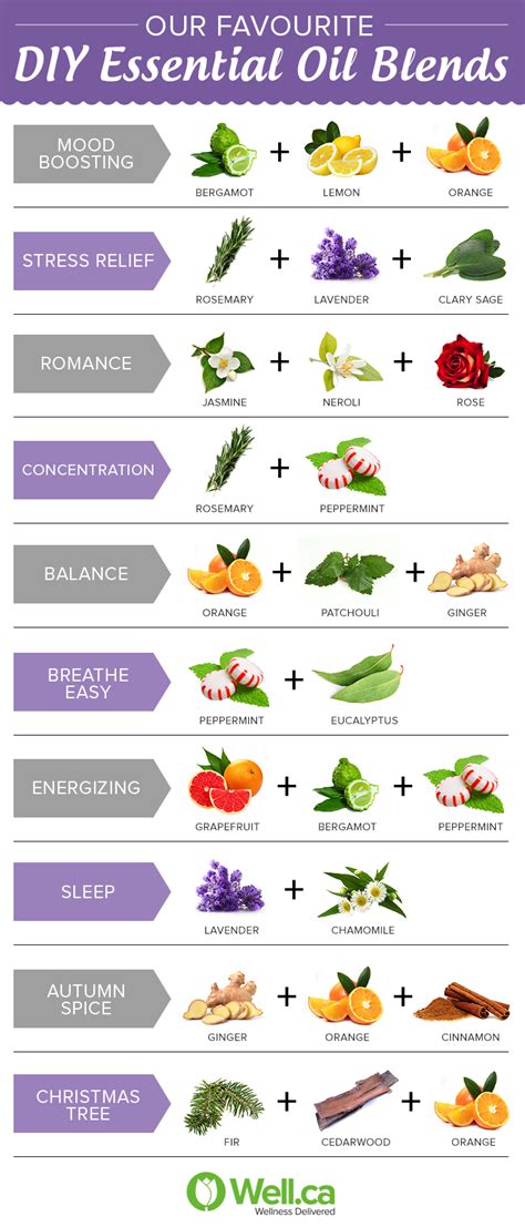 Our Favourite Essential Oil Blends For Aromatherapy Essential Oils