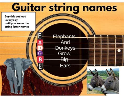 Guitar String Names