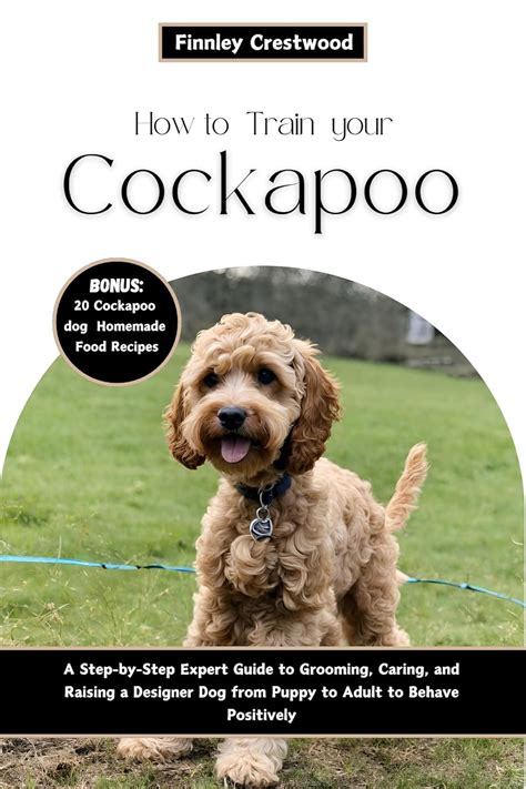 How To Train Your Cockapoo A Step By Step Expert Guide To Grooming