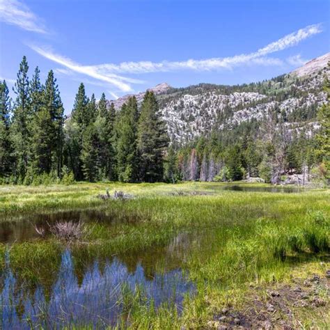 Leavitt Meadows To Long Lakes Out And Back Hiking Trail Maps