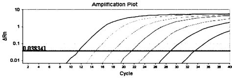 Primer Probe Combination For Simultaneously Detecting Four Types Of