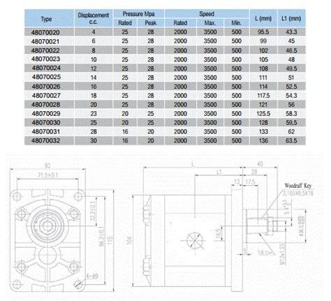 Gr2 Threaded Hydraulic Gear Pump Buy Online Disumtec