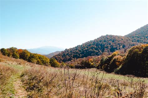 Dilijan National Park In Armenia The Ultimate Guide