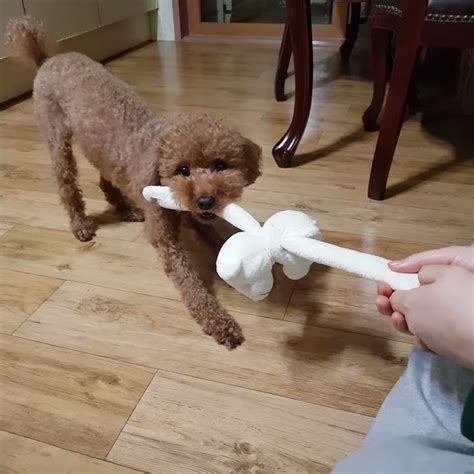 노는거 보다 엄마가 더 좋아 Youtube