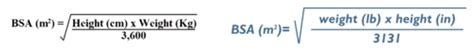 BSA Calculations Flashcards Quizlet