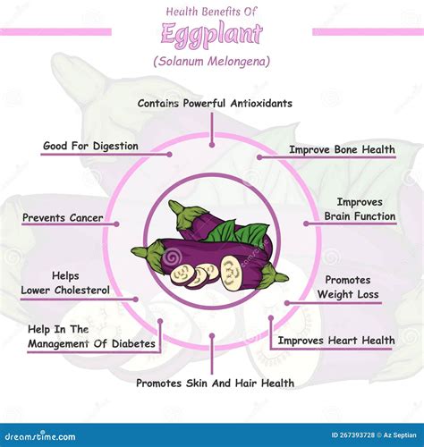 Health Benefits Of An Eggplant Stock Vector Illustration Of