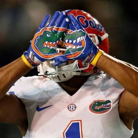 Uf Gator Artofit