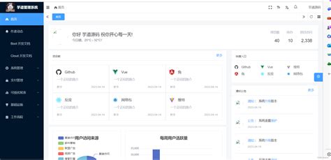 ruoyi vue pro框架学习启动教程 ruoyi pro csdn博客
