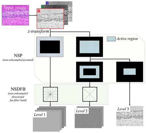 Flowchart Of The Proposed Restoration Scheme Based On L 1 Norm Based Download Scientific