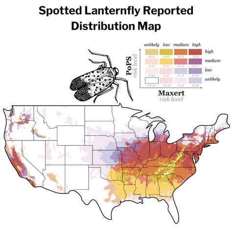 How To Get Rid Of The Spotted Lanternfly