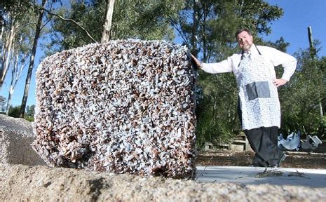 Record Breaking Lamington The Courier Mail