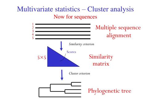 ppt multiple sequence alignment benchmarking pattern recognition and