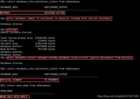 oracle dataguard oracle data guard csdn博客