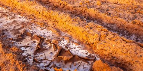 Understanding Soil Salinity Causes Effects And Solutions