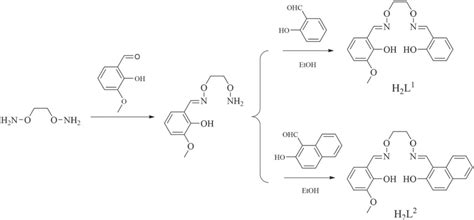 Synthetic Routes To The Salamo‐based Ligands Download Scientific Diagram