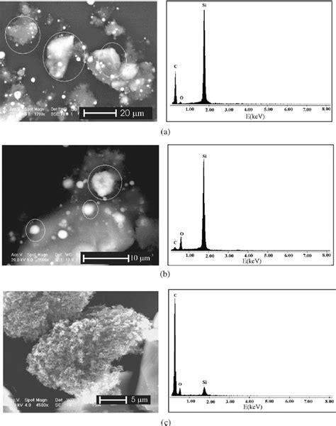 Sem Images And Electron Diffraction Spectroscopy Eds Patterns Of