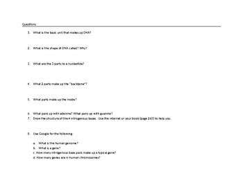 DNA Structure Modeling By Wynn Clarke TPT