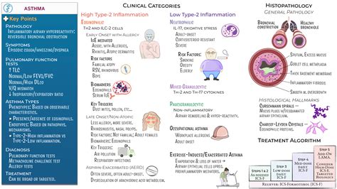 Usmle Comlex Step 1 Asthma Ditki Medical And Biological Sciences