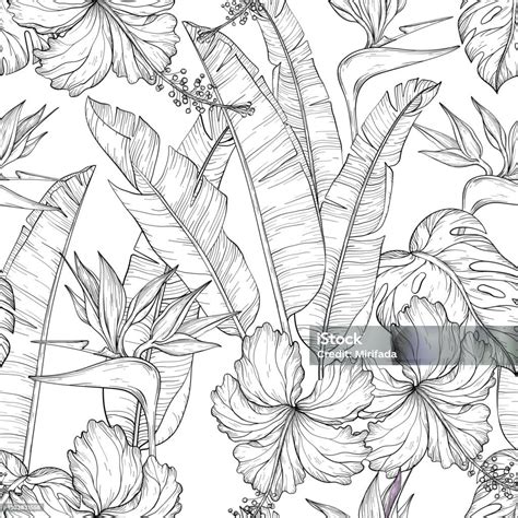 열대 야자수 잎과 히비스커스 낙원 꽃의 새 정글 식물과 원활한 패턴 흑백 극락조화에 대한 스톡 벡터 아트 및 기타 이미지 극락조화 흑백 히비스커스 Istock