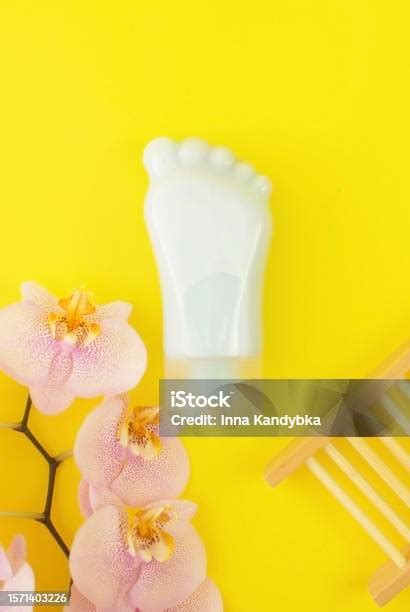 화장품 풋 크림용 튜브 용기 천연 화장품과 피부 관리의 개념 페디큐어 도구 세트입니다 복사 공간이 비어 있고 채워지지 않은 스튜디오 샷 세로 사진 가꿔주기에 대한 스톡 사진