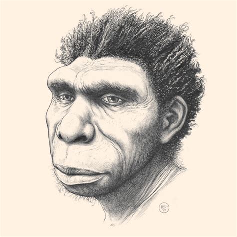 Homo Sapiens