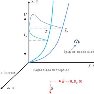 Geometric Structure Of The Flow Problem Download Scientific Diagram