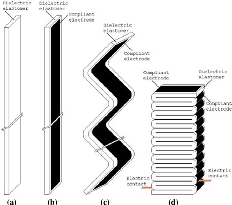 Steps To Obtain A Folded Dielectric Elastomer Actuator A Strip Of