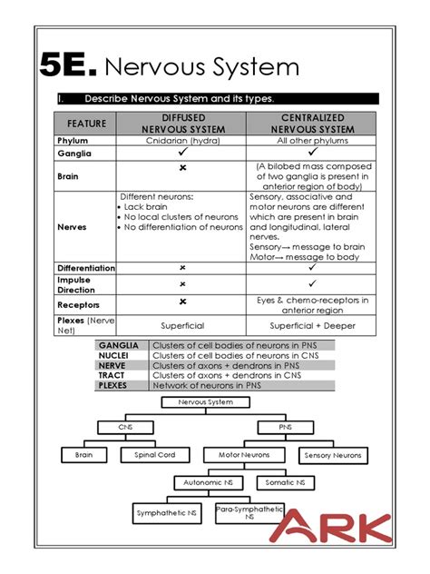 Biology Notes Pdf Chemical Synapse Action Potential