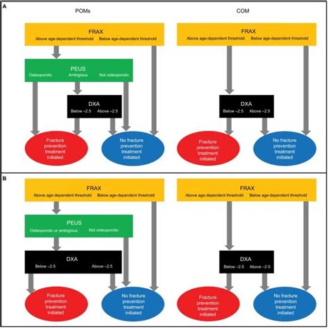 decision tree pom pathways are on the left hand side and the com
