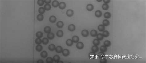 探秘 Pdms 液滴芯片：微流控领域的 “液滴制造高手” 知乎
