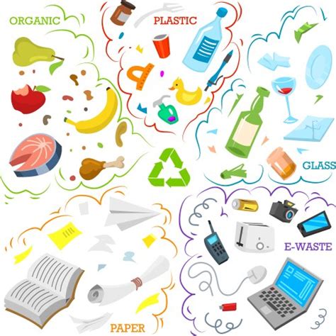 Waste Sorting Different Types Garbage Paper Vector Image