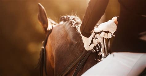 Mwr Winning Team Interview Di Nationals Special Feature Part 2