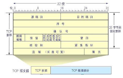 阿里面试官常问的tcp和udp，你真的弄懂了吗？视频面试用的 Udp 还是 Tcpudp丢包会有什么现象 Csdn博客