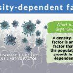 Density Dependent Factor Definition And Examples Biology Online Dictionary