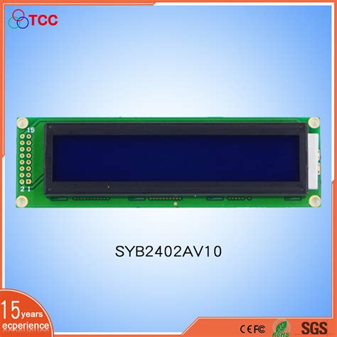 China 24X2 Character LCD 24*02 Display 2402 LCD Screen COB Display ...