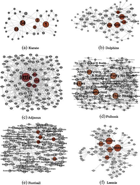 The Visualization Of Important Nodes Identified By Profitleader Here